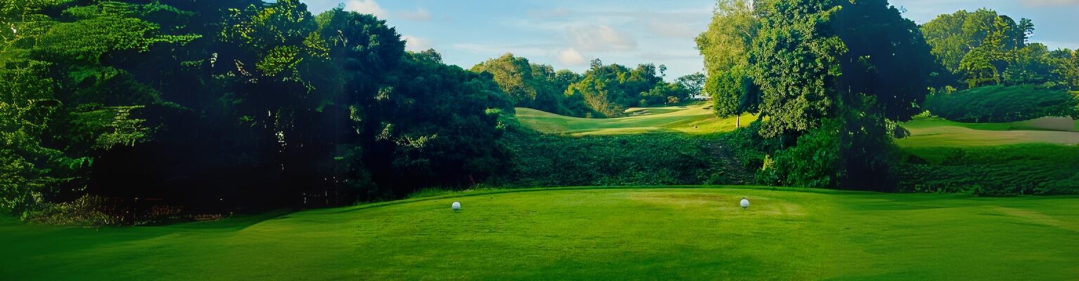 About Us – NH AGRI – Leading Distributor of Fertilizer and Agrochemicals